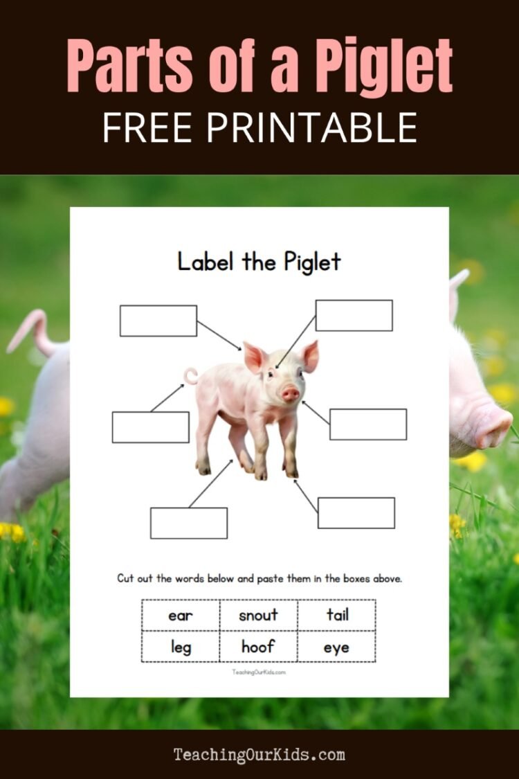 Parts of a Piglet Printable - Teaching Our Kids